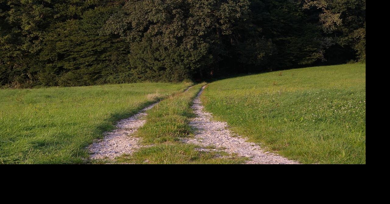 Hike with locals in Southwest Washington, Northwest Oregon