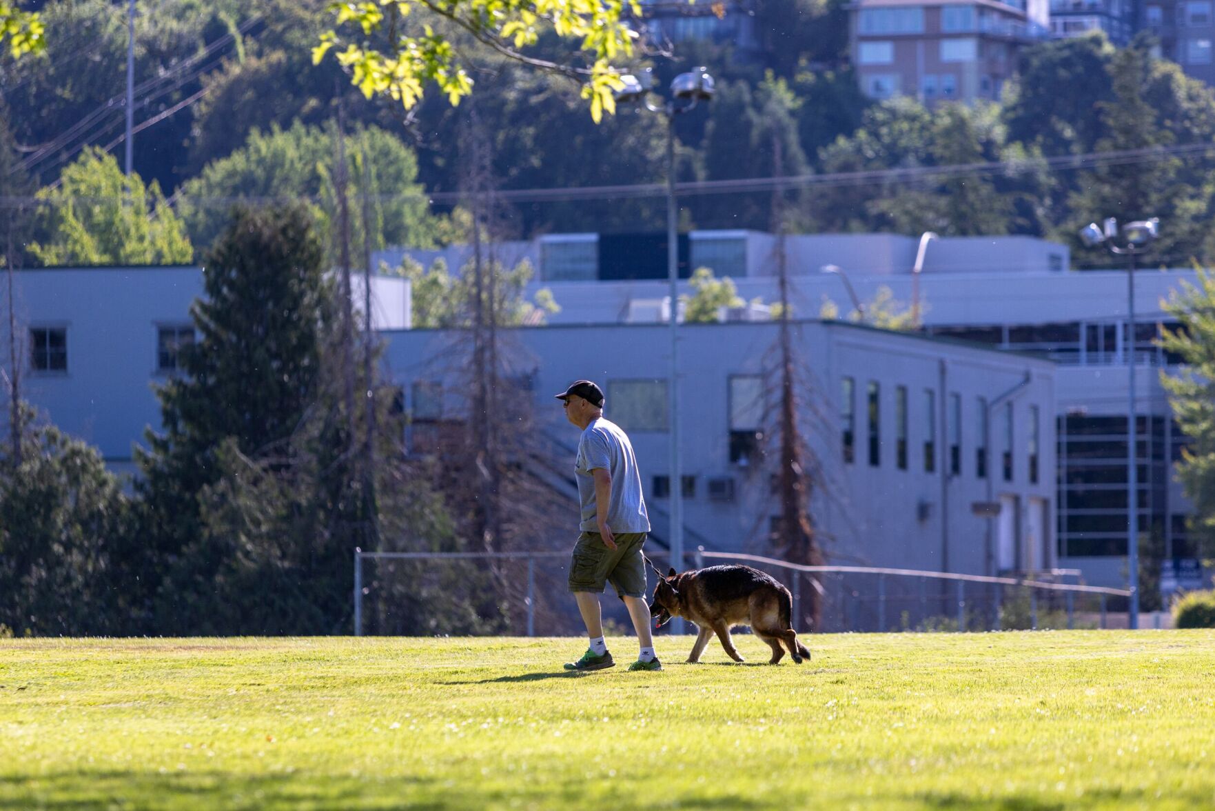 Portland and Seattle among worst US cities for grass pollen, report finds