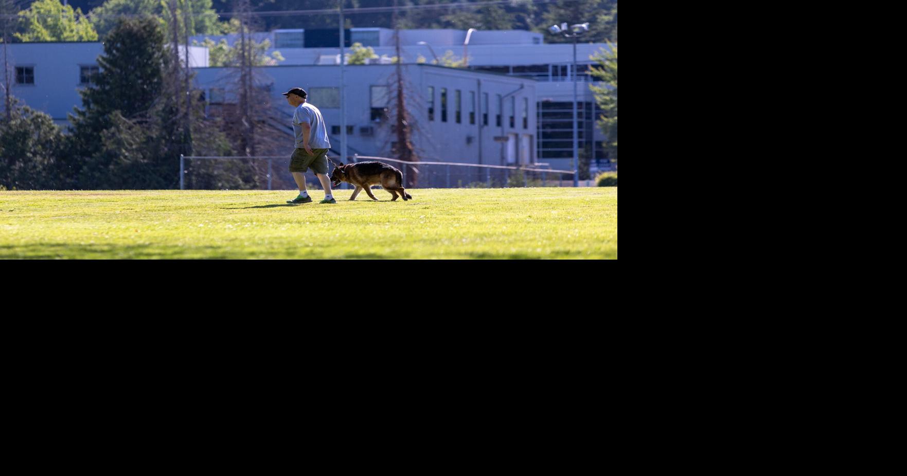 Portland and Seattle among worst US cities for grass pollen, report finds