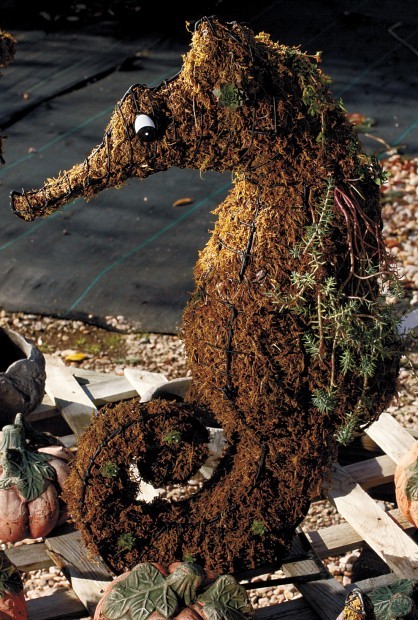 Topiaries bring gardens to life | Lifestyles | tdn.com