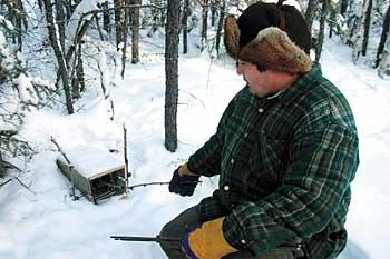 Native trappers follow ancient traditions to eke out a living in the ...