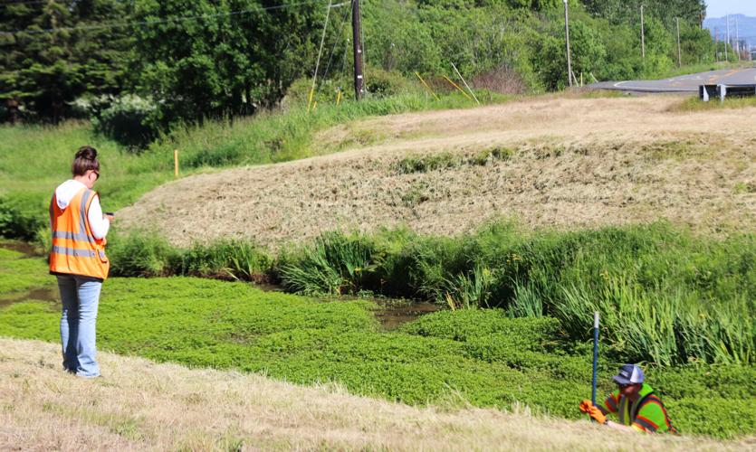How spilled white liquor was flushed from Longview sloughs
