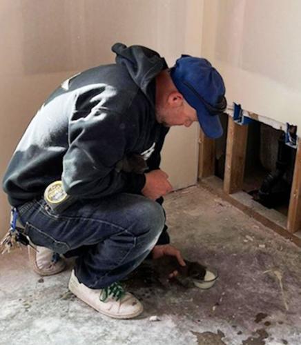 Kelso construction workers find kittens behind drywall