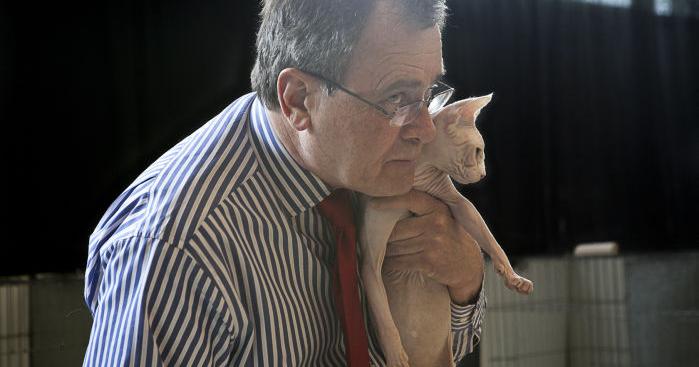 Cats, handlers compete for top kitty kudos at Longview show