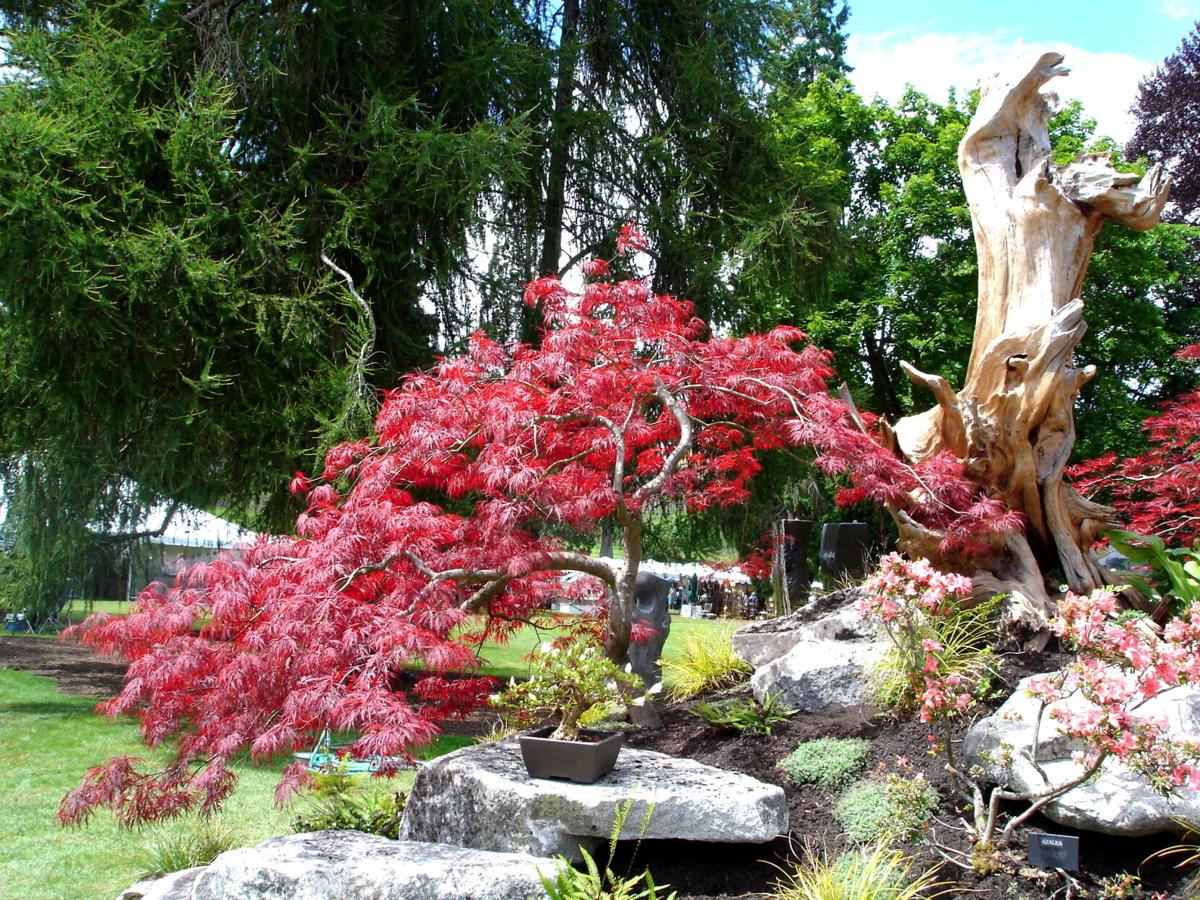 It's best known for animals, but Tacoma zoo also has exotic gardens ...