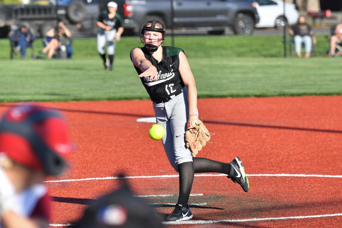 2A High School District Softball: Woodland lives a lifetime in final ...