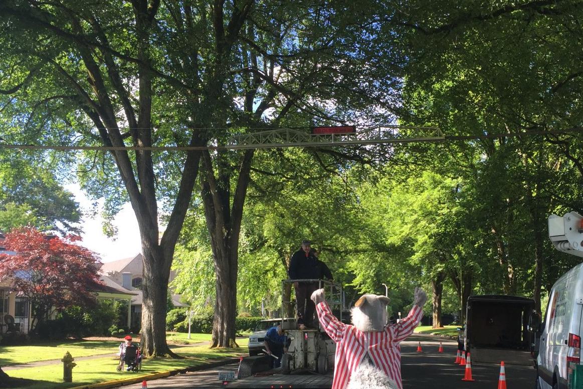 Civic organization to install new squirrel bridge across Kessler Boulevard