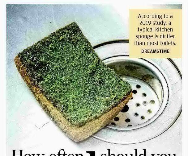 How often should you replace your sponge?