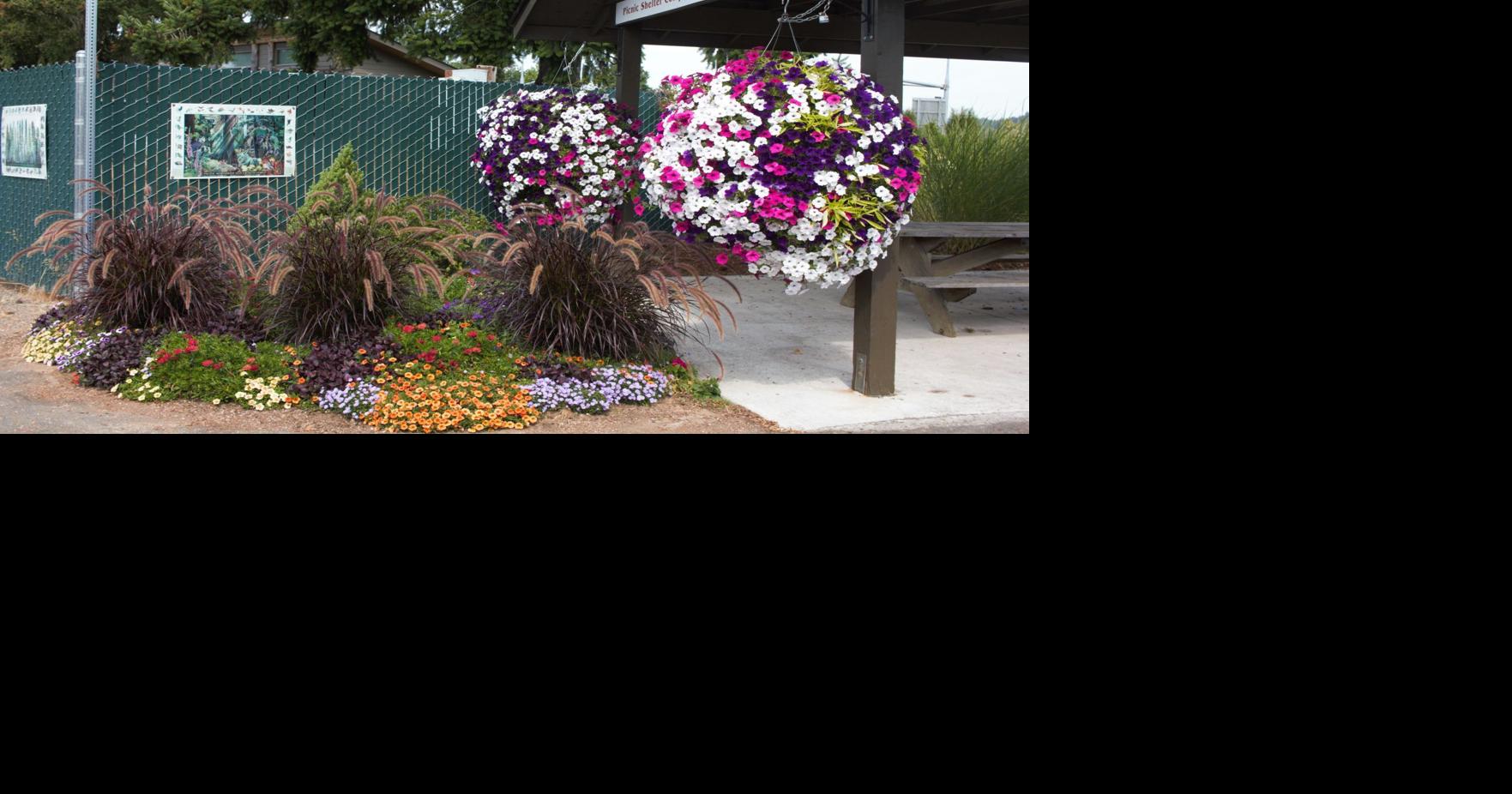 Help clean up Castle Rock