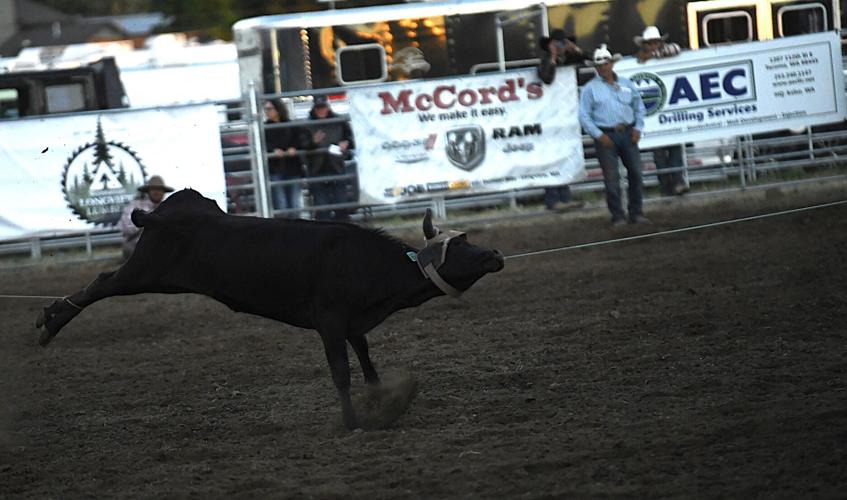 Animals can be injured in rodeos. Should sport be banned?