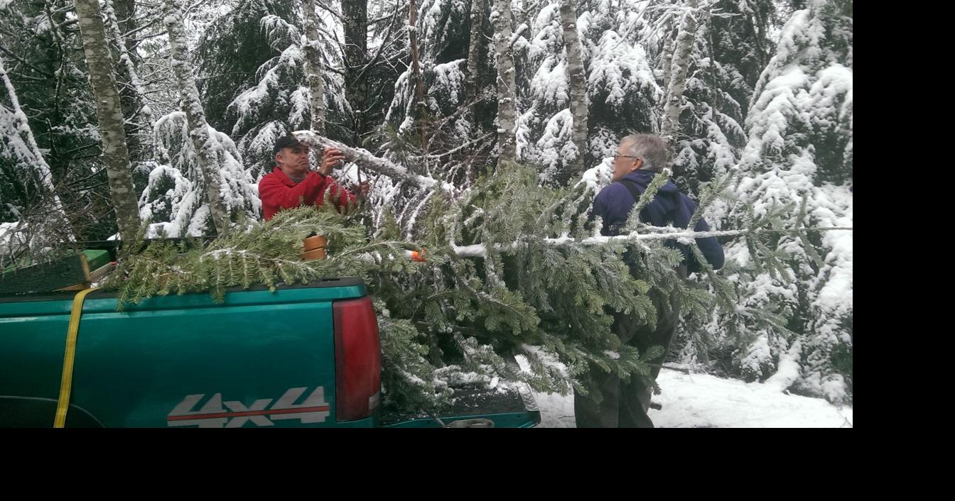 Kalama family embarks on annual trek for the not-so-perfect Christmas tree