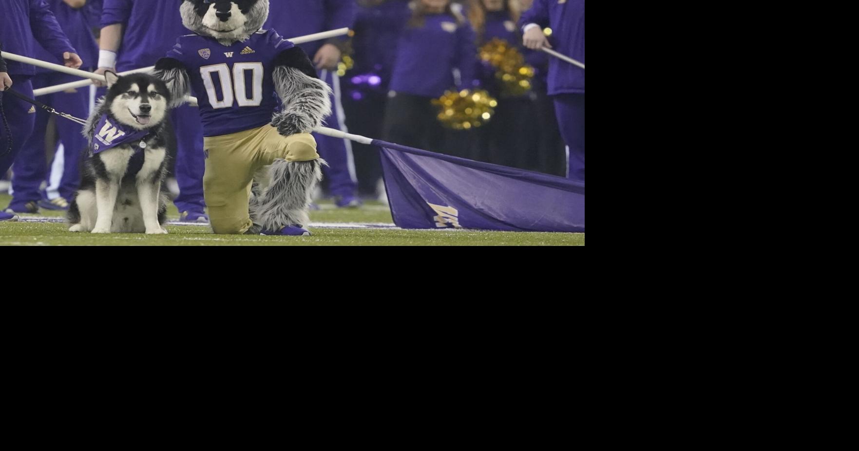 Washington Huskies land three-star linebacker commit Ezaya Tokio