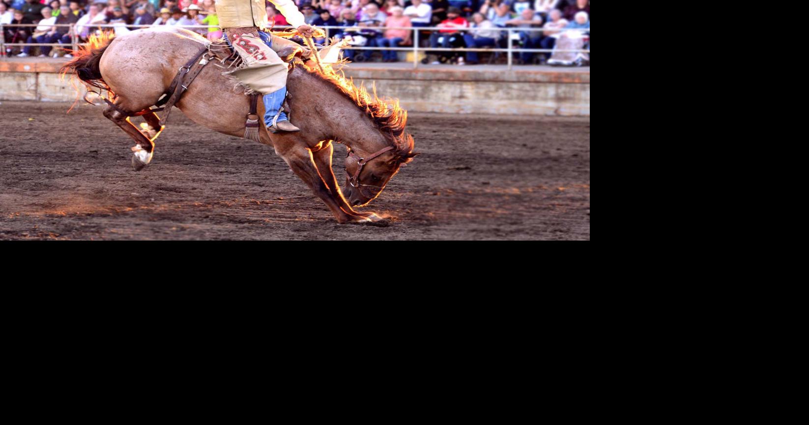 Thunder Mountain Pro Rodeo: St. Clair's odd night leads to big prizes