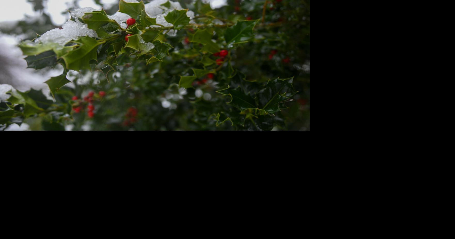 UPDATE: Weather experts warn of black ice Friday evening before ...