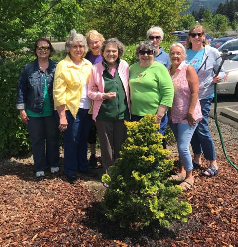 Kelso Garden Club plants three trees at Tam O'Shanter Park
