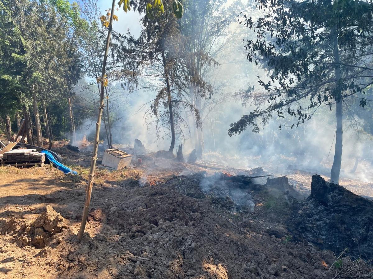 Kelso brush fire extinguished