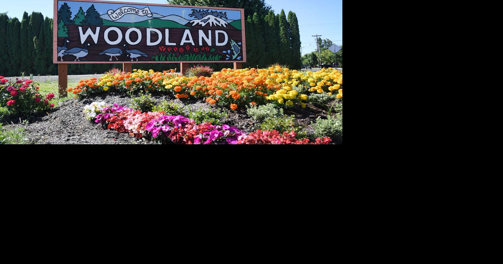 Woodland council advances cannabis retail zoning change