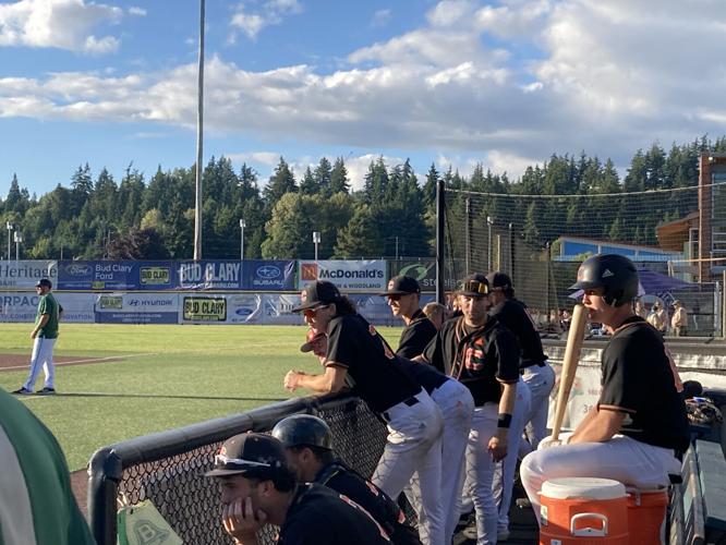 West Coast League: Red hot Cowlitz Black Bears appear headed for ...