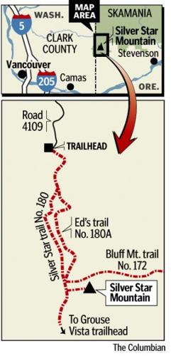Big views, lots of wildflowers at Silver Star Mountain
