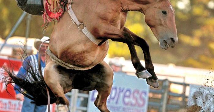 Thunder Mountain Pro Rodeo off to bucking start