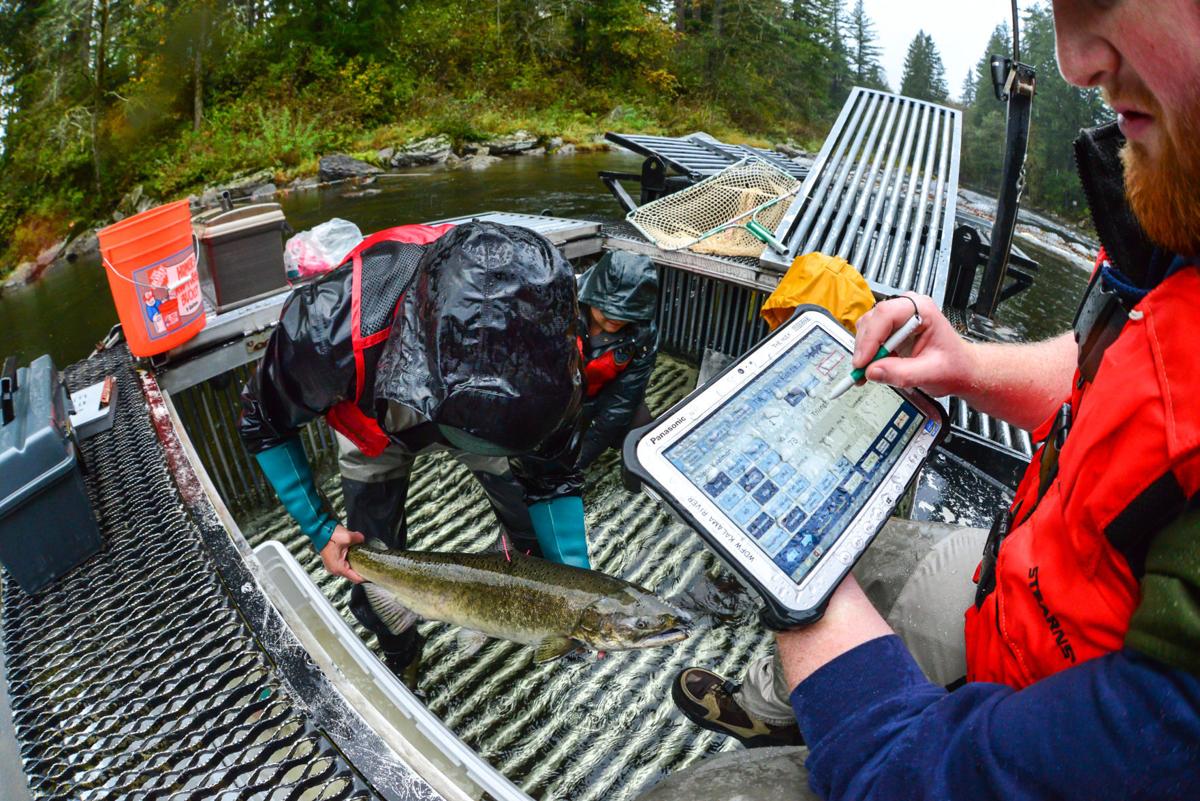 WDFW looks to legislature for funding | Northwest News | tdn.com