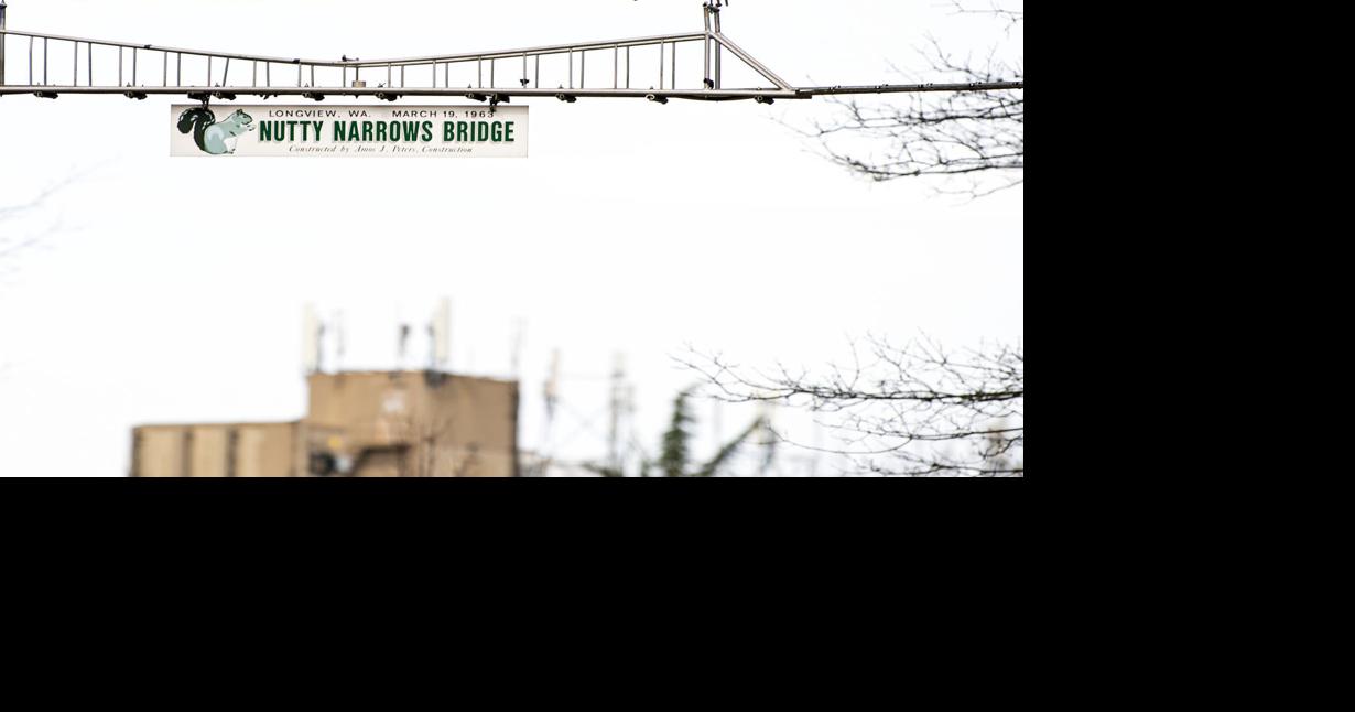 Disney uses Longview squirrel bridges to market new film 'Flora & Ulysses'