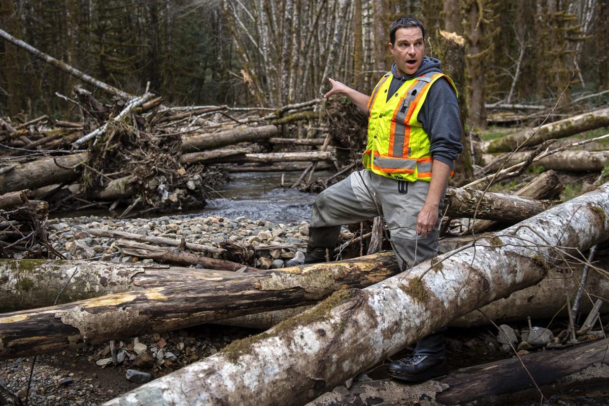 Cowlitz Tribe helps 'put a price tag on salmon recovery' at Abernathy Creek