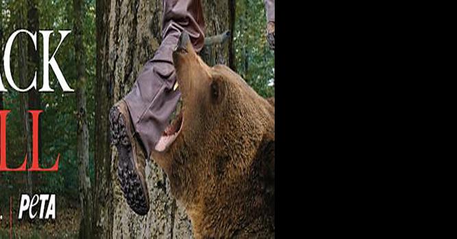 PETA planning anti-hunting billboard in response to local bear attack