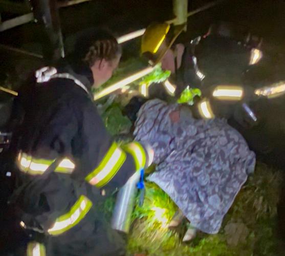 2-week-old calf rescued from Kelso barn fire