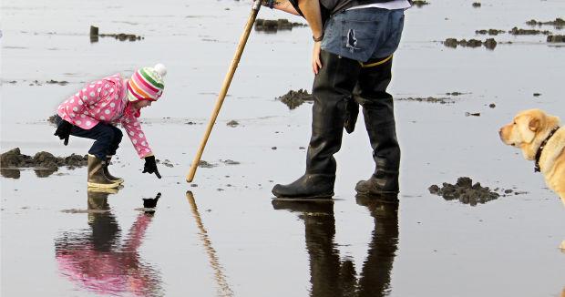 Razor clam digs start Thursday in Long Beach, Twin Harbors, Mocrocks
