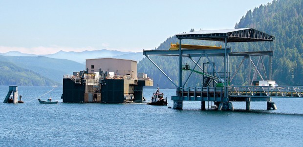 Giant fish collector key to recolonizing upper Lewis River