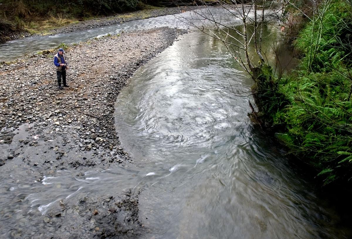 WDFW chooses Grays River for steelhead gene bank
