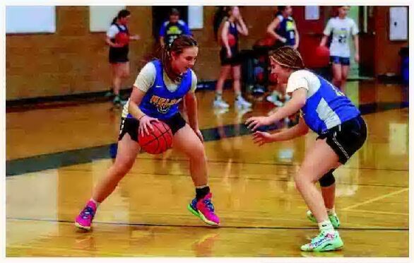 LASSIES TAKING A LEAP OF FAITH