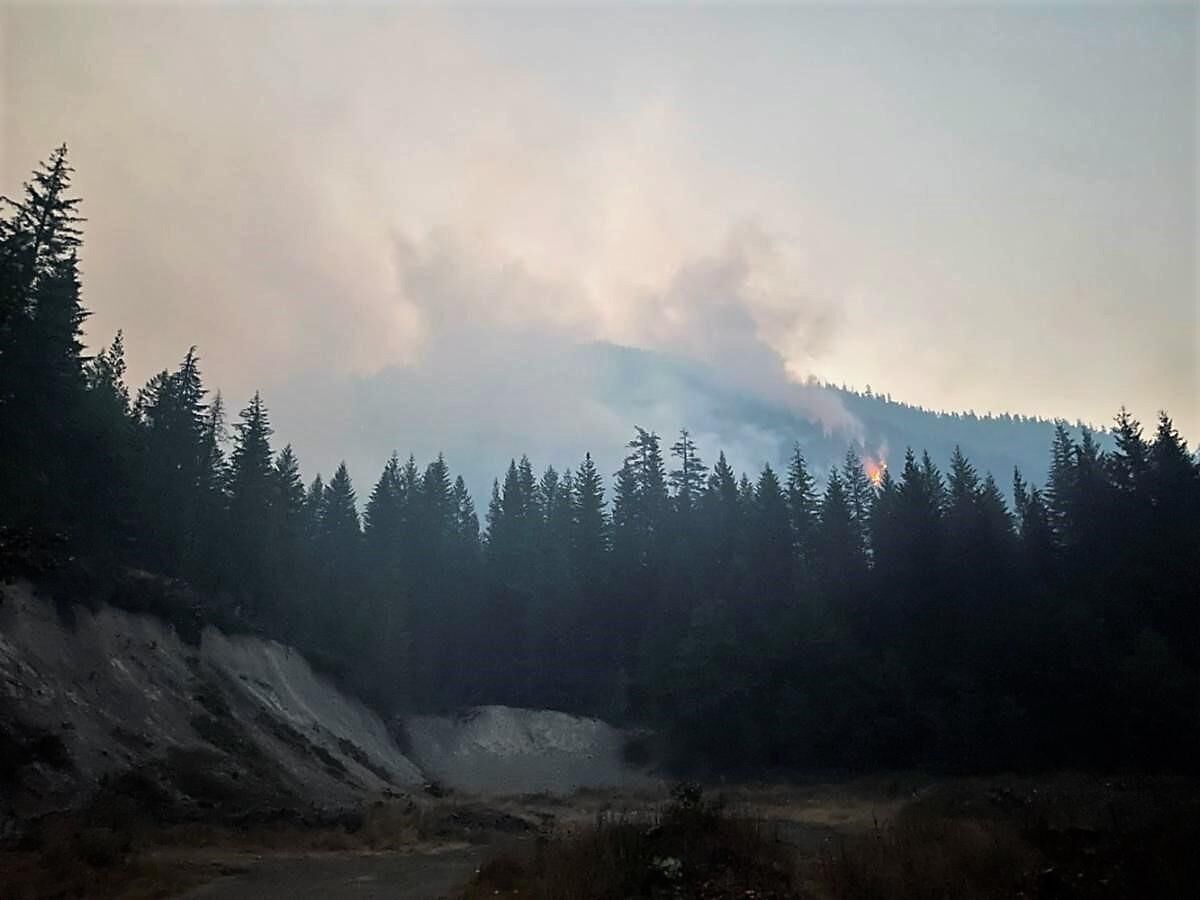 Weather helps crews fighting Kalama, Goat Rocks wildfires in Gifford ...
