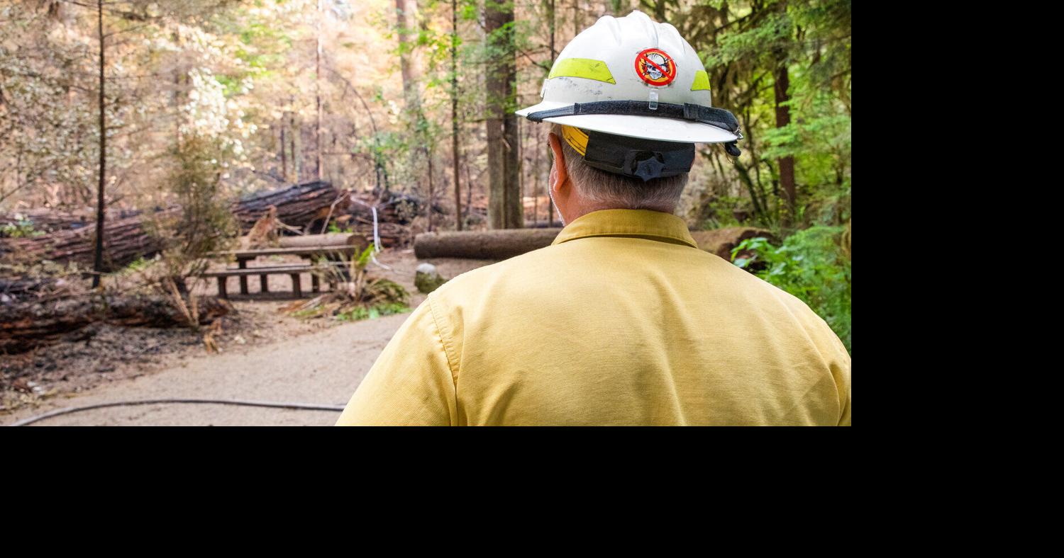 ‘Treacherous’ landscape of ‘killer’ trees complicates Iron Creek Fire
