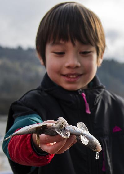 The Guide's Forecast: Anglers mourn, dippers and diggers anxious