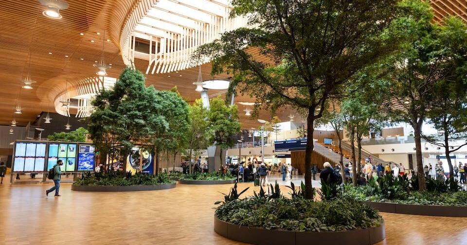 TSA rolls out face-matching technology at Portland airport security ...