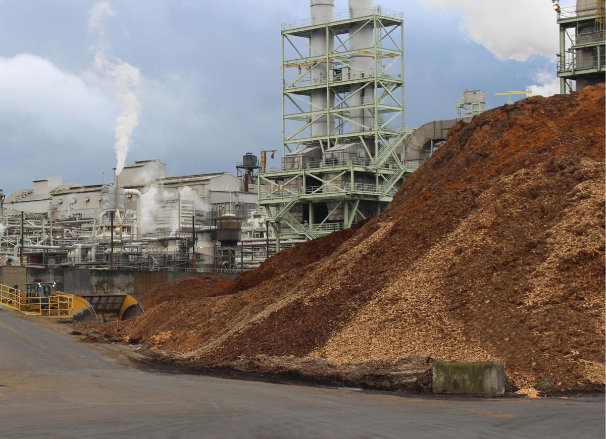 Inslee vetoes KapStone-backed bill to broaden definition of renewable ...