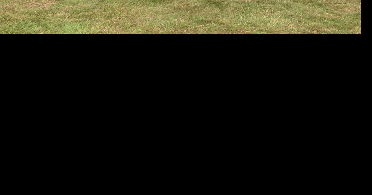 SEIU-represented Kaiser employees set to strike in October