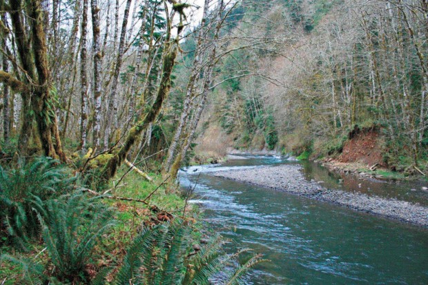 State, federal money to boost regional fish habitat projects