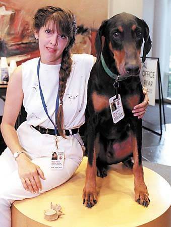 Police accuse renowned dog handler of planting evidence