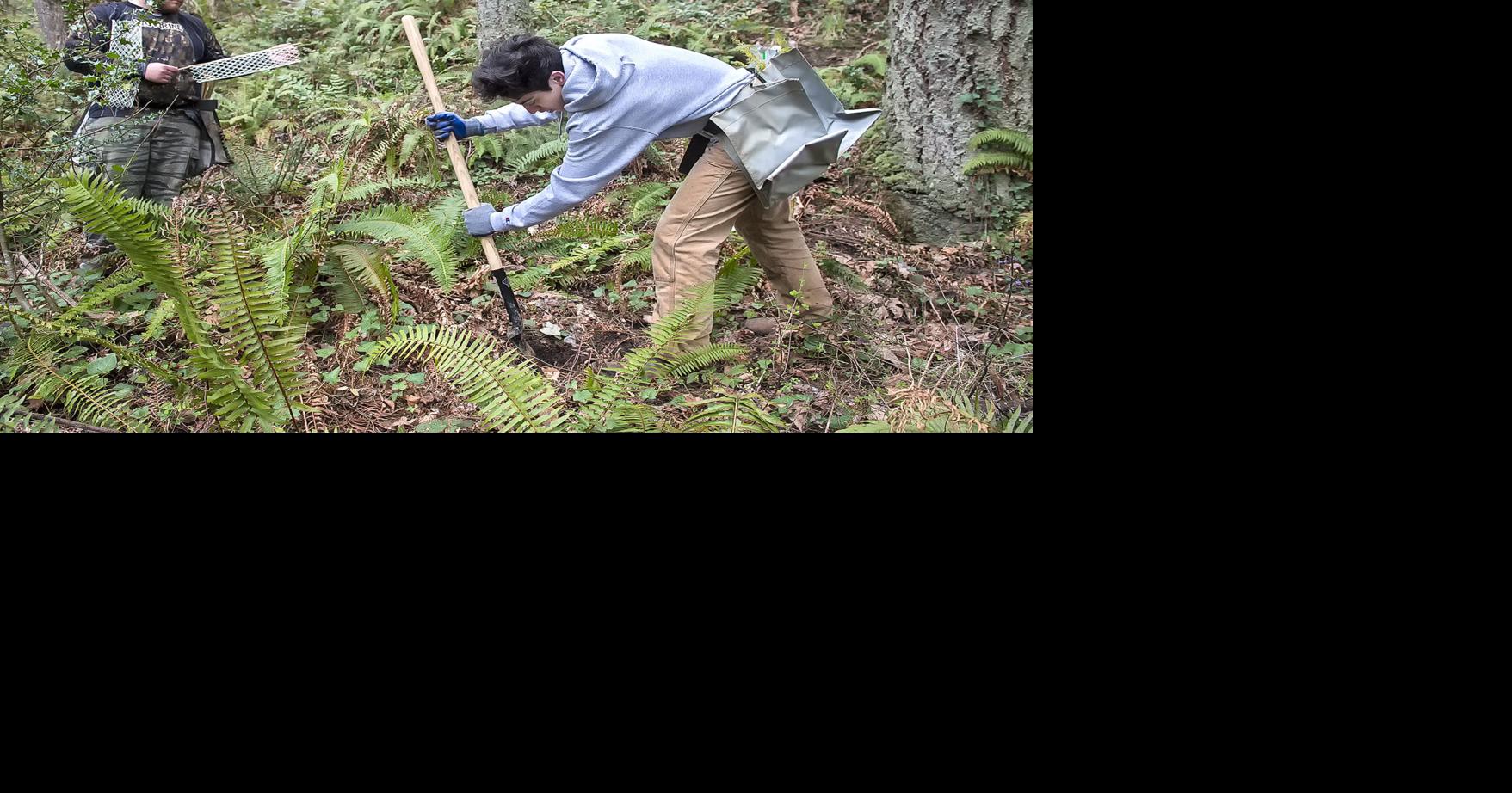Kalama students tend forest in natural resource program