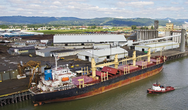 'A mountain' of silt moving down Columbia River, port says