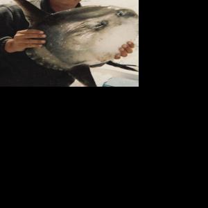 Frank Martin Giddens