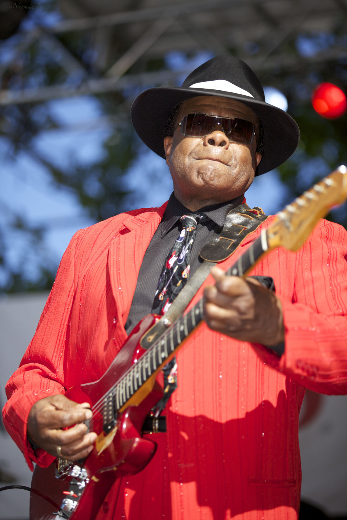 'Boogie Cat' brings the blues Saturday | Lifestyles | tdn.com