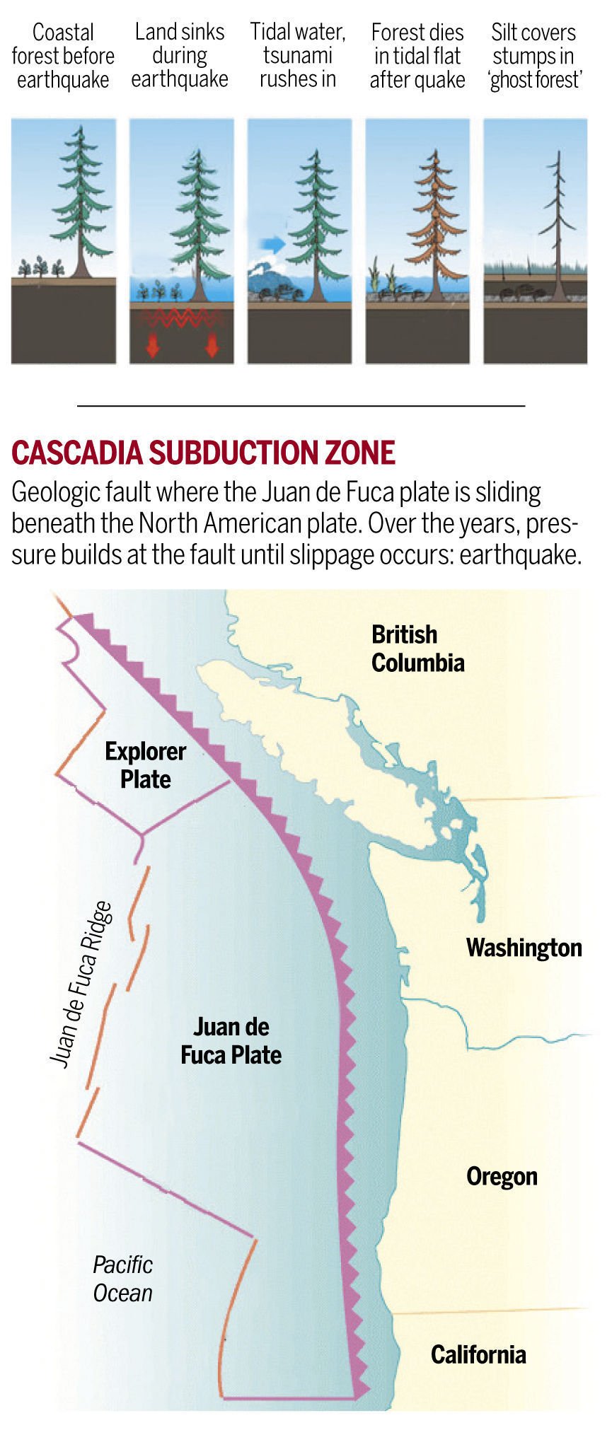 Prepare, don't panic, for the Cascadia earthquake | Local | tdn.com