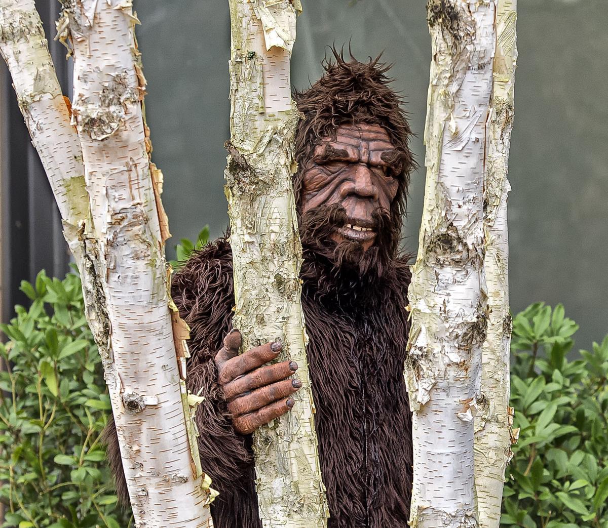 Annual sQuatch Fest returns Jan. 28 and 29 at the Cowlitz Event Center ...
