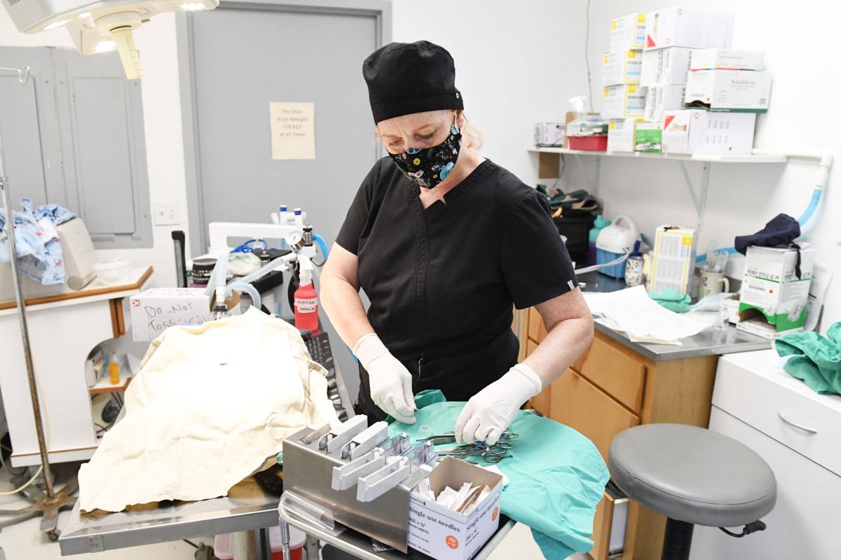 Humane Society of Cowlitz County's new fulltime vet helps control pet ...