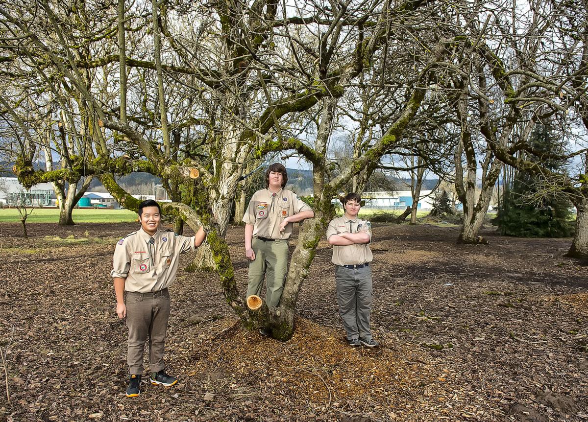 Boy Scouts, Port of Woodland to restore community orchard
