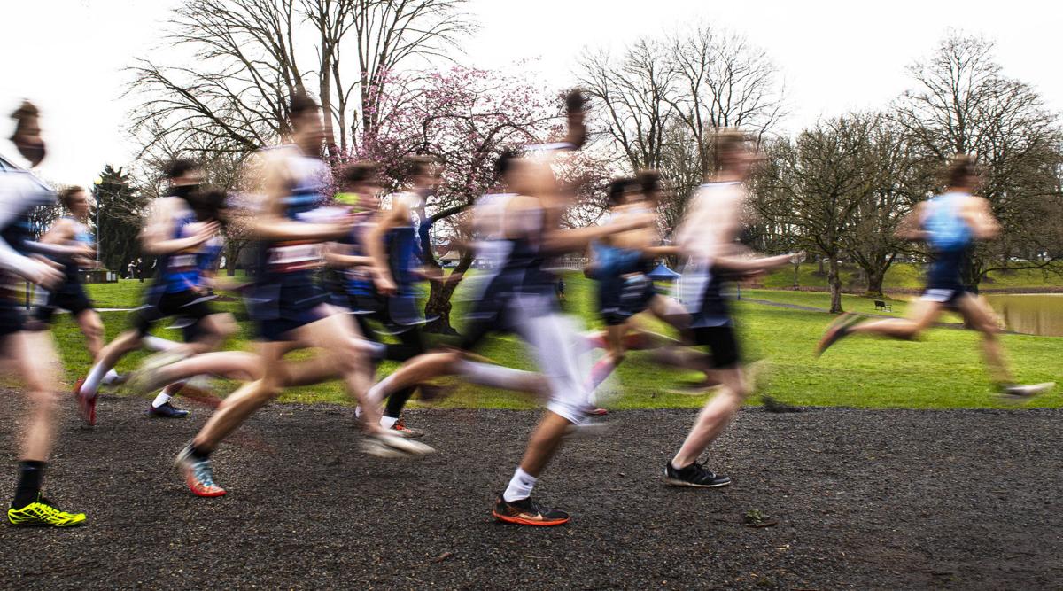 1B/2B High School Cross Country: Toledo’s Marty finishes 2nd at ...